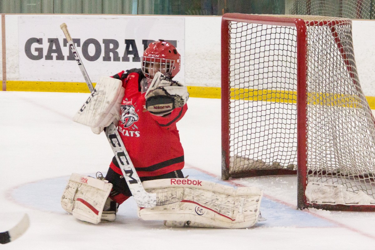 Accomplishments > Bantam A - Journey to the LLFHL Championship Weekend ...