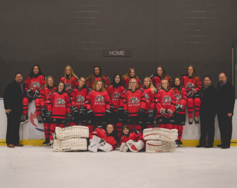 Accomplishments > Bantam A - Journey to the LLFHL Championship Weekend ...