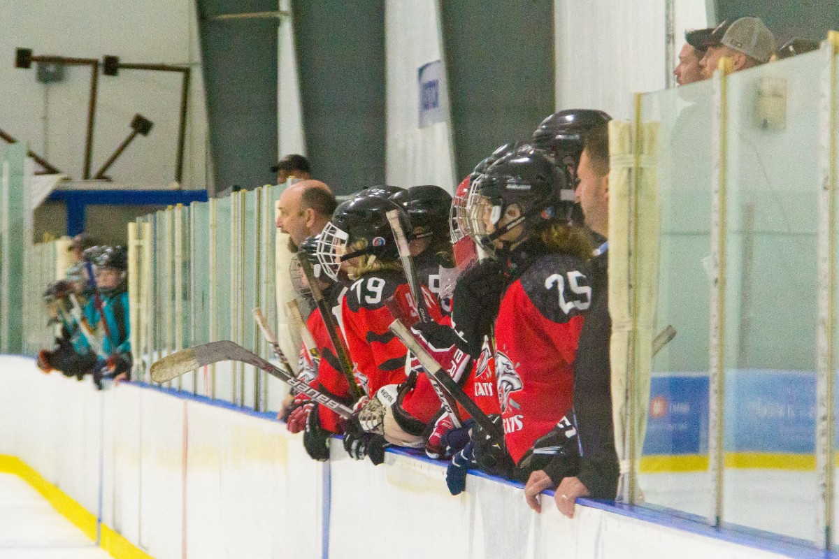 Accomplishments > Bantam A - Journey to the LLFHL Championship Weekend ...