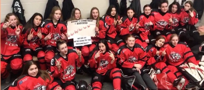 Accomplishments > Bantam B – Journey to the OWHA Provincials 2019/20 ...