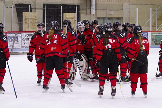 Accomplishments > Bantam B – Journey to the OWHA Provincials 2019/20 ...