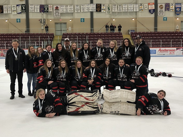 Accomplishments > Bantam B – Journey to the OWHA Provincials 2019/20 ...