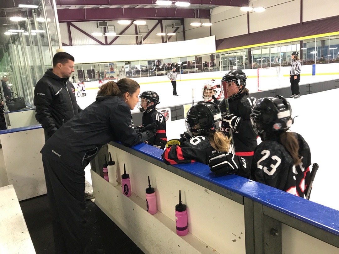 Accomplishments > Our Novice Ice Cats 2019/20 (Brantford Girls Hockey ...