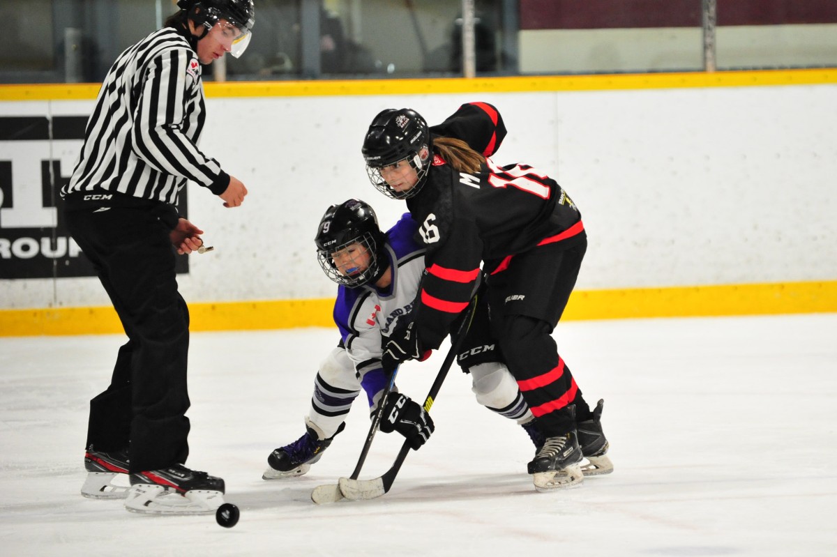 Accomplishments > Peewee BB - Journey to the OWHA Provincials 2019/20 ...