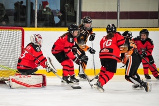 Accomplishments > Peewee BB - Journey to the OWHA Provincials 2019/20 ...