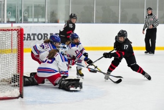 Accomplishments > Peewee BB - Journey to the OWHA Provincials 2019/20 ...