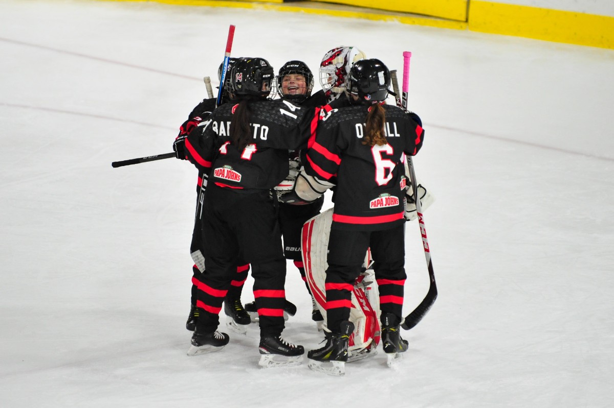 Accomplishments > Peewee BB - Journey to the OWHA Provincials 2019/20 ...